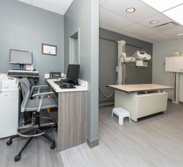 J.C. Lewis Primary Health Care | Projects | Choate Construction
