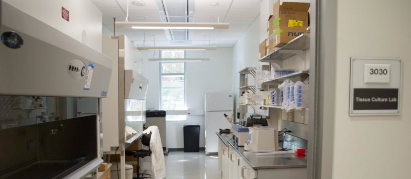 Kennesaw State University Lab Addition | Projects | Choate Construction